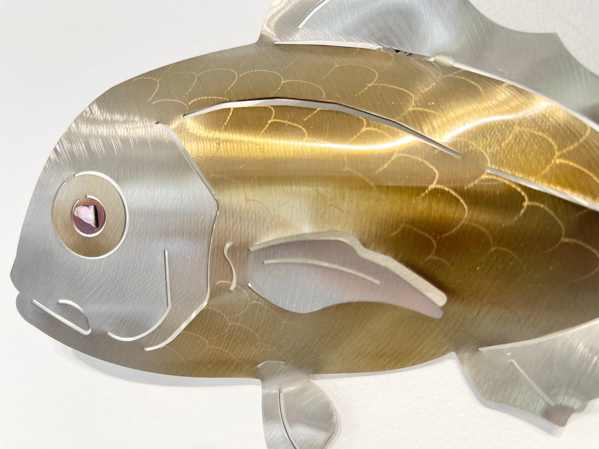 Undersized gold snapper – Jiwa Steel