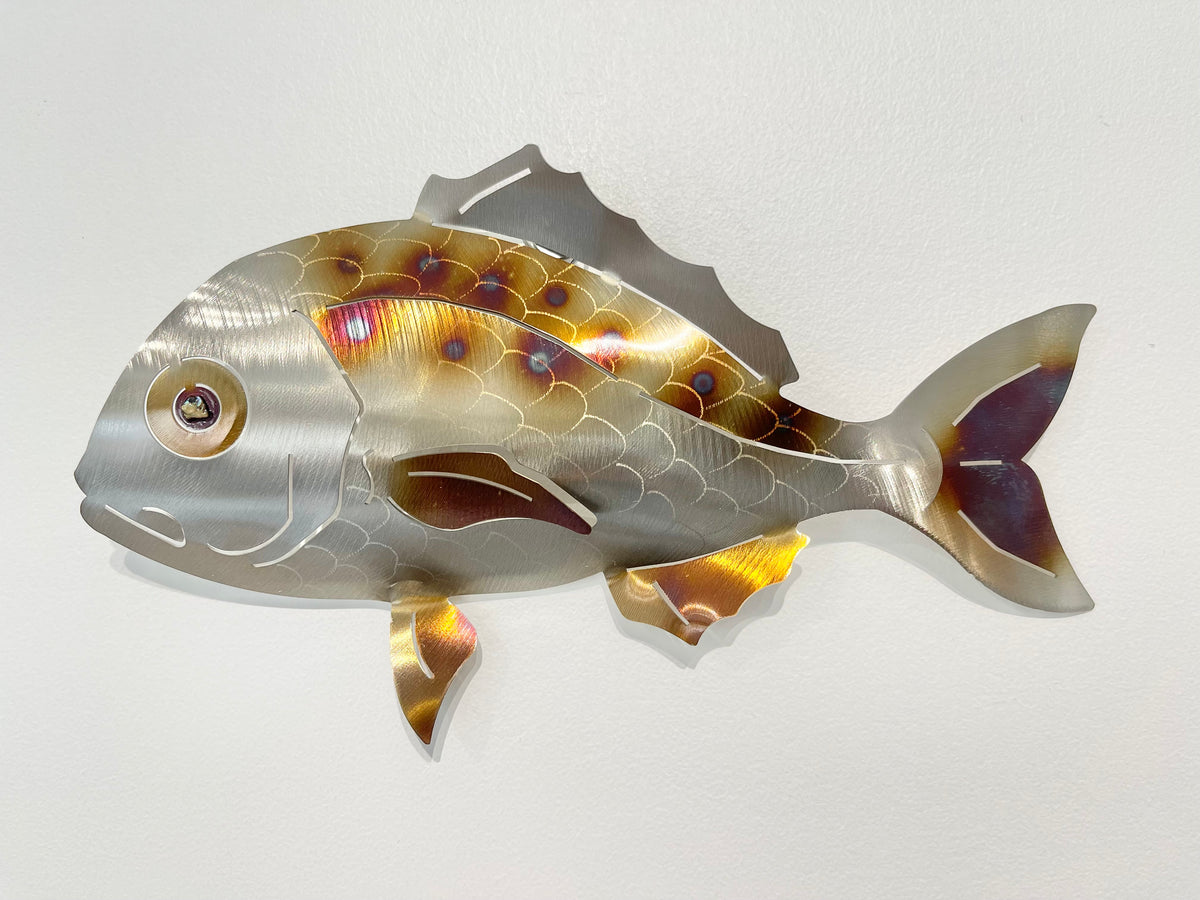 Undersized spotted snapper – Jiwa Steel